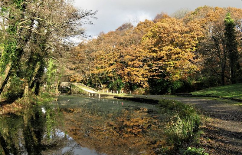 Neath Canal Walk - Neath & Tennant Canals Trust